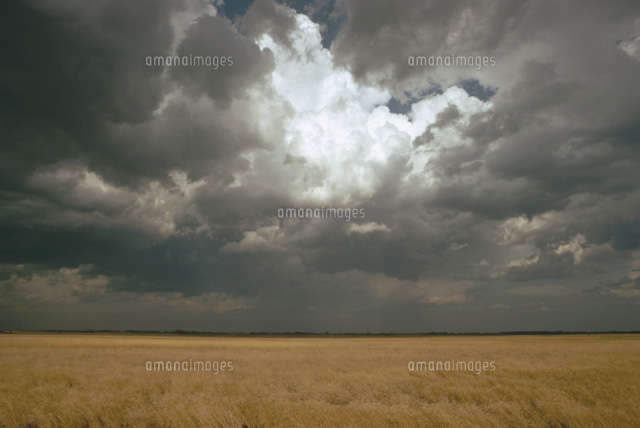 STORM CLOUDS OVER PRAIRIE， MINNESOTA[01543011207]の写真素材・イラスト素材｜アマナイメージズ