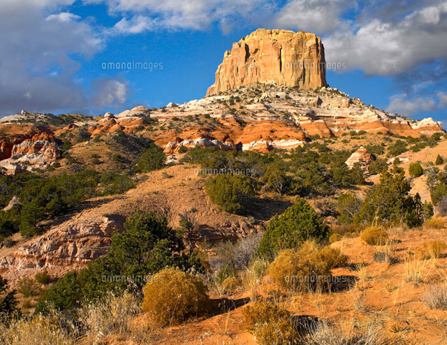 Square Butte near Kaibito[01543014361]の写真素材・イラスト素材｜アマナイメージズ