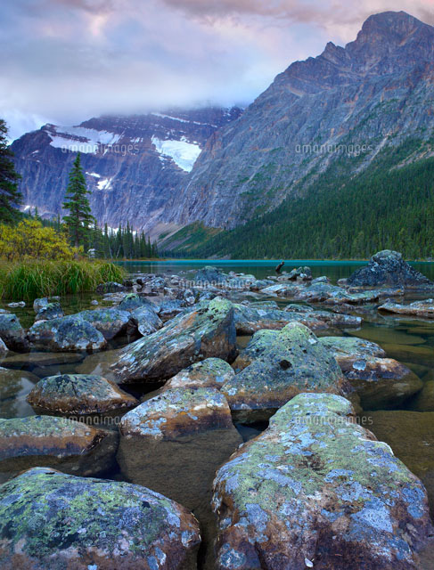 Mount Edith Cavell and Cavell Lake、 Jasper National Park、[01543021804]の ...