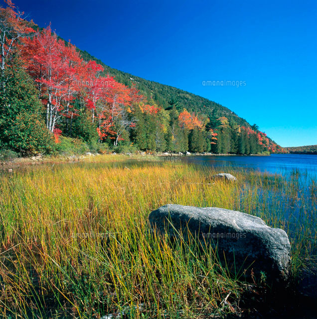 Autumn in Maine[01808020287]の写真素材・イラスト素材｜アマナイメージズ
