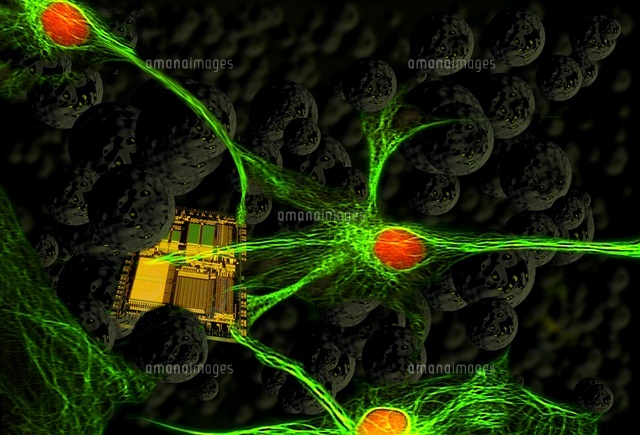 Micro Chip in Brain[01808026880]の写真素材・イラスト素材｜アマナイメージズ