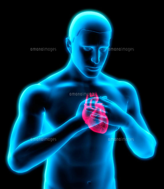 Man with chest pains， computer artwork[01809013277]の写真素材・イラスト素材｜アマナイメージズ