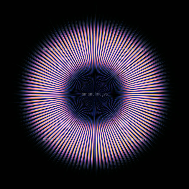 Cricket song，wavelet graph[01809026265]の写真素材・イラスト素材｜アマナイメージズ