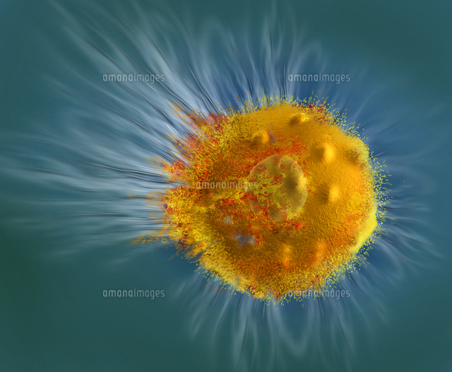 Cell destruction, artwork[01809033740]の写真素材・イラスト素材｜アマナイメージズ