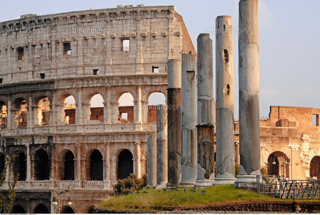 Colosseum[20025189864]の写真素材・イラスト素材｜アマナイメージズ