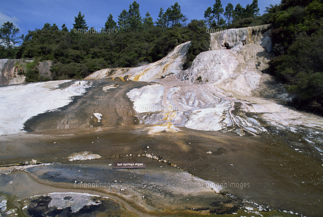 Cascade Terrace at Orakei Korako Thermals in the North Island of New ...
