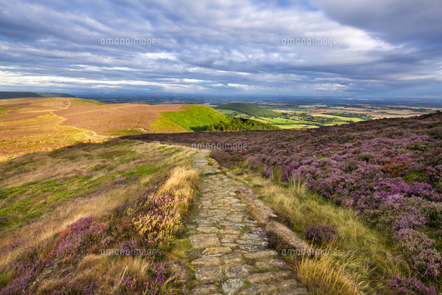 Clouds gather above the Cleveland Way and the heather-clad Little Bonny ...