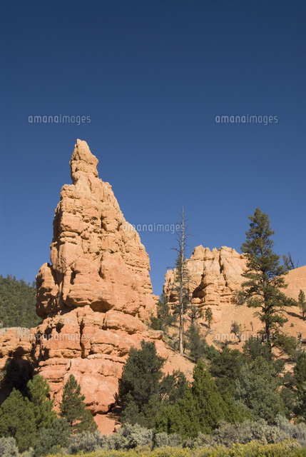 Brilliantly coloured hoodoos, Claron Limestone Formations, Red Canyon ...