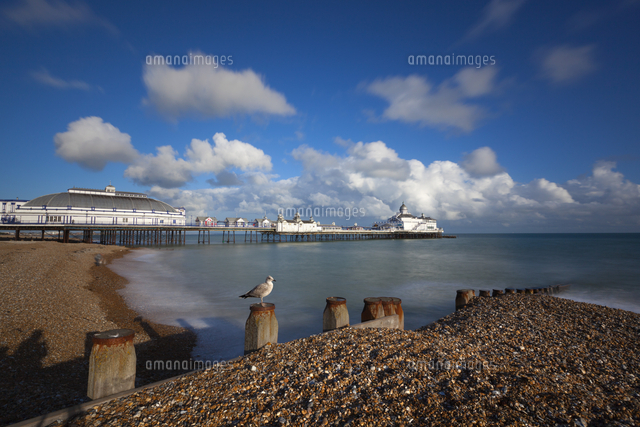 Pebble beach and pier, Eastbourne, East Sussex, England[20025372149]の写真 ...