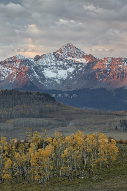 Wilson Peak at dawn in the fall, Uncompahgre National Forest, Colorado ...