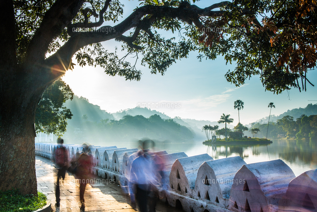 Kandy Lake, Kandy, Sri Lanka, Asia[20025383939]の写真素材・イラスト素材｜アマナイメージズ