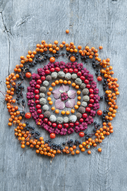 Berry mandala[20038013935]の写真素材・イラスト素材｜アマナイメージズ