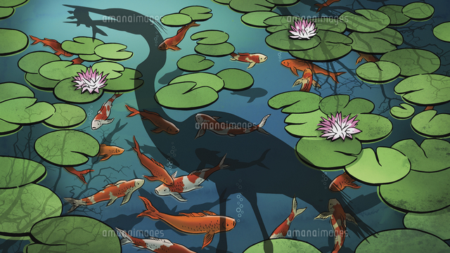Shadow of heron over anxious fish in pond[20039011333]の写真素材・イラスト素材｜アマナイメージズ