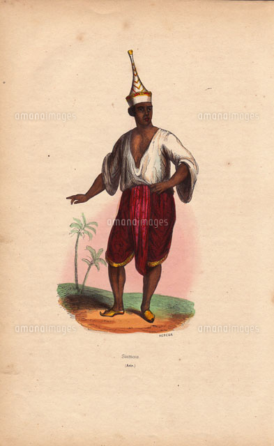 Siamese man[20042000972]の写真素材・イラスト素材｜アマナイメージズ