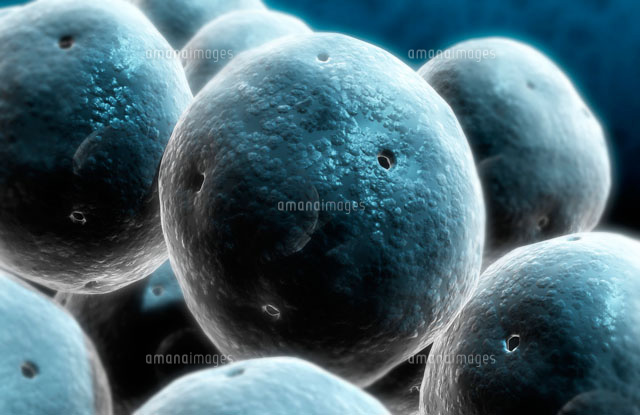 Generic Cells-17[20049000219]の写真素材・イラスト素材｜アマナイメージズ