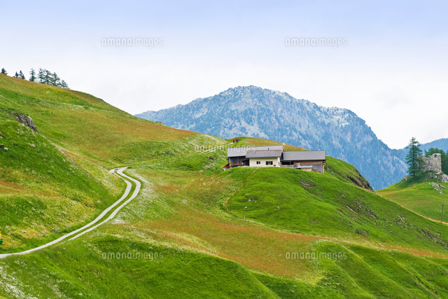 Spl?genpass. Canton Grisons. Switzerland[20053006103]の写真素材・イラスト素材｜アマナイメージズ