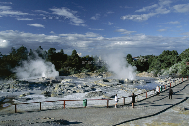 Erupting geysers and mineral terraces, Whakarewarewa thermal area ...