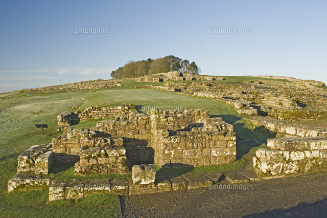 Part of Housesteads Roman Fort, looking up to Housesteads Wood ...