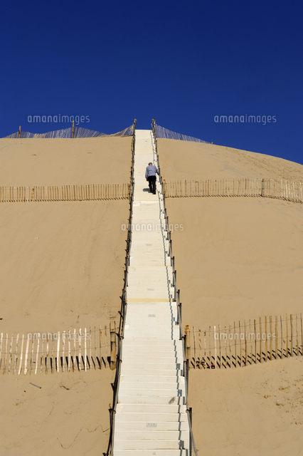 Man climbing steps leading up to Dunes du Pyla, Bay of Arcachon, Cote d ...