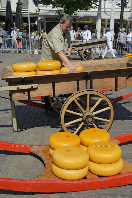Loading cheese wheels from a wooden sledge onto a traditional wooden ...