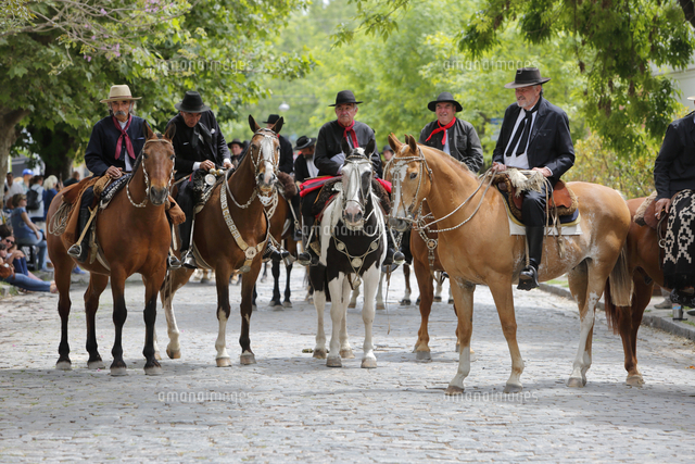 Gaucho parade on the Day of Tradition, San Antonio de Areco, La Pampa ...