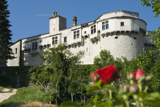 The Castle, Pazin, Istria, Croatia, Europe[20062105243]の写真素材・イラスト素材｜アマナ ...
