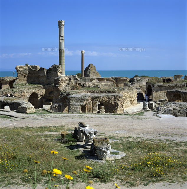 Ruins of ancient Roman baths, Antonine Baths, Carthage, UNESCO World ...