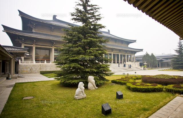The Shaanxi History Museum, Xian, China[20062115068]の写真素材・イラスト素材｜アマナイメージズ
