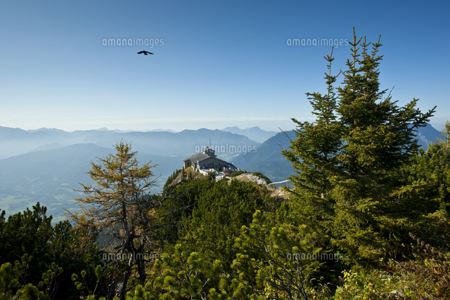 Crow flying over Eagle's Nest, Kehlsteinhaus, Hitler's lair at ...