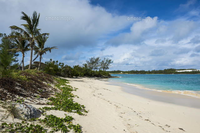 Turtle beach, St. David's island, Bermuda, North America[20062123259]の ...