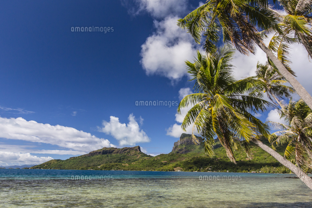 Palm lined inner lagoon of Bora Bora, Society Islands, French Polynesia ...