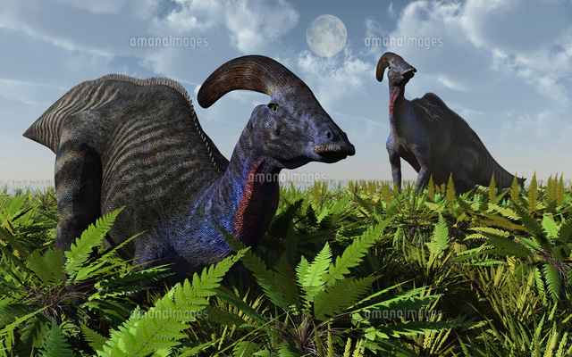 A pair of Parasaurolophus duckbill dinosaurs grazing.[20064000057]の写真素材 ...