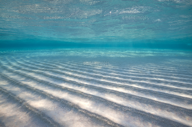 Underwater shallow sand bar with ripples, North Sound, Grand ...