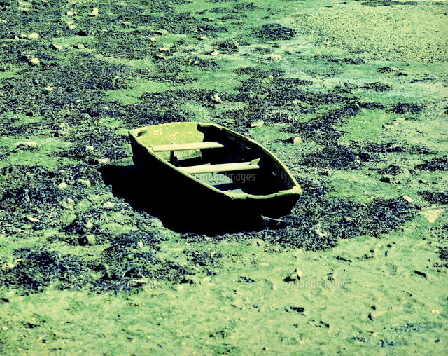 Rowing boat on beach[20071013061]の写真素材・イラスト素材｜アマナイメージズ