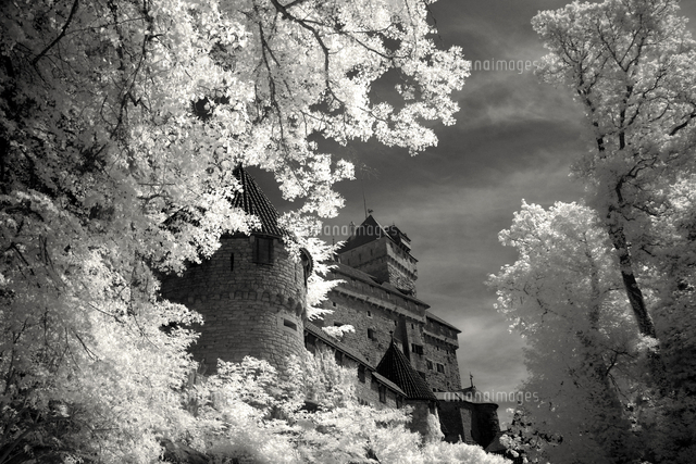 Castle in Trees[20071013383]の写真素材・イラスト素材｜アマナイメージズ