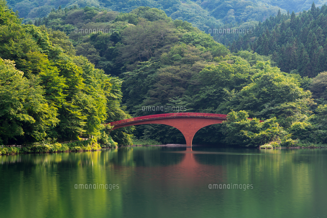 The Mysterious Bridge[20073000978]の写真素材・イラスト素材｜アマナイメージズ
