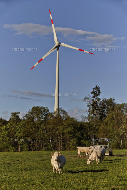 Wind turbinet in Hunsruck, Kappel, Rhineland-Palatinate[20080015211]の写真 ...