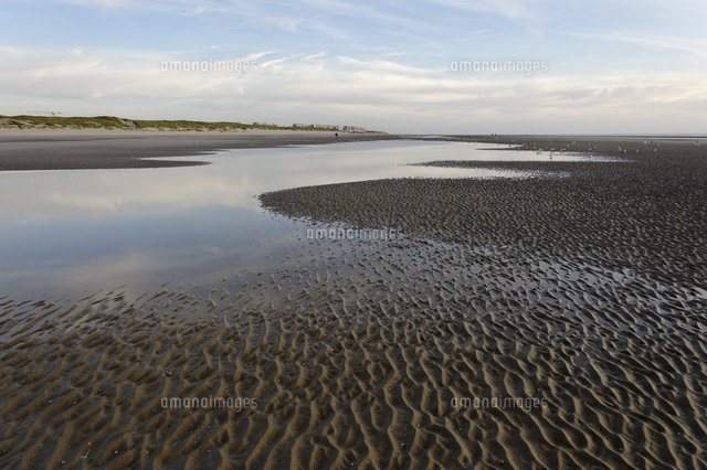 Beach at low tide, English Channel, Cote d'Opale, Le[20080017440]の写真素材 ...