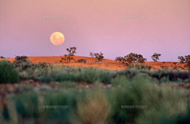 Full moon over Australian outback landscape, Coober Pedy[20080025782]の ...