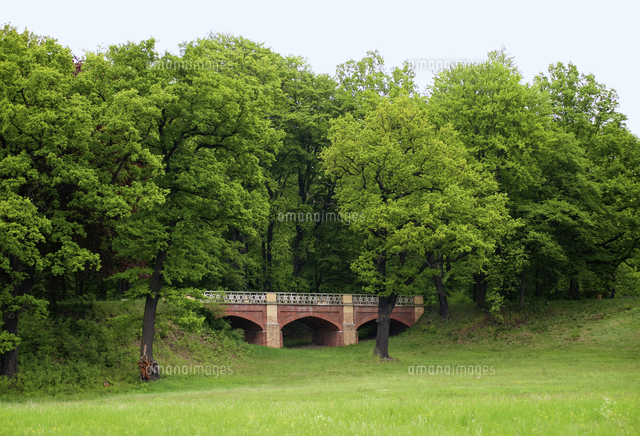 View of trees and bridge at Bad Muskau Muskauer Park, Saxony, Germany ...