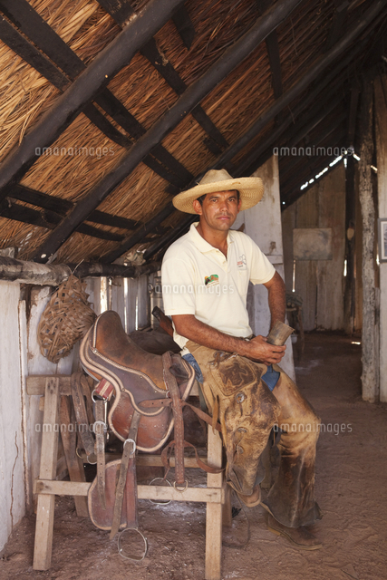 South America, Brazil, Mato Grosso do Sul, Fazenda 23 de Marco ...