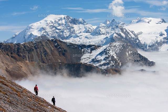 Trekking at monte Solena in Stelvio National Park with Ortles and ...