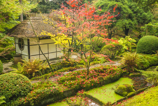 Thatched Tea House, Tatton Park, Cheshire, England[20088009250]の写真素材 ...