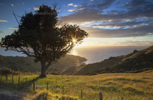 View of Firth of Thames at sunset, Coromandel Peninsula, North Island ...