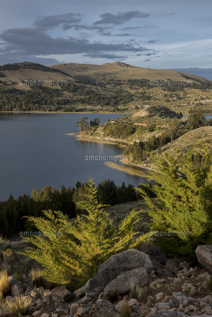 South America, Peru, Lake Titicaca, Suasi Island[20088064374]の写真素材・イラスト ...