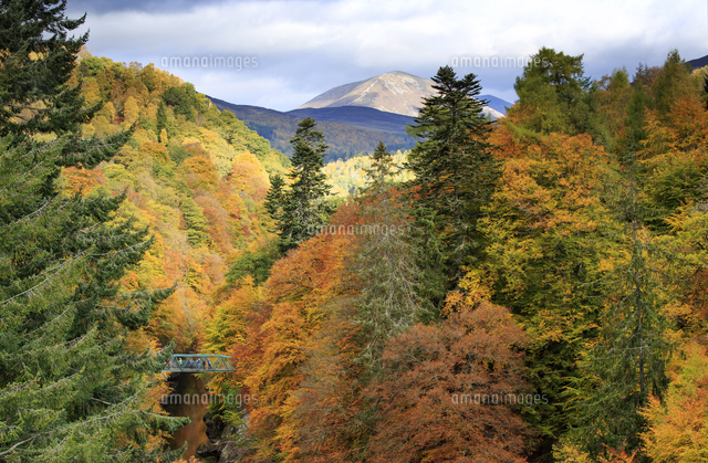 Scotland, Pitlochry. The River Garry in autumn, near the Pass of ...
