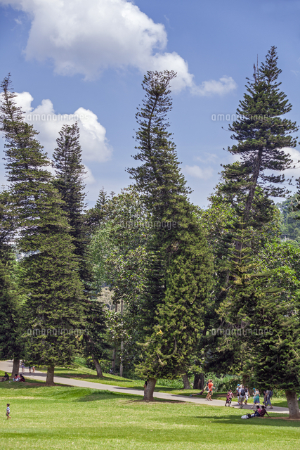 The magnificent 147-acre Royal Botanical Gardens at Kandy were formally ...
