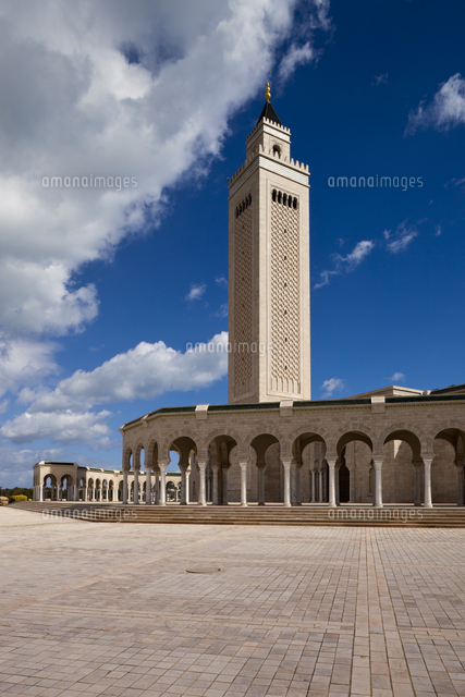 Tunisia, Tunis, Carthage, Mosque del Abedine[20088080451]の写真素材・イラスト素材 ...