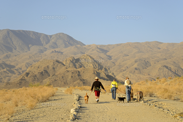 Suburbia, La Quinta, Palm Springs Area, Mojave Desert, California, USA ...