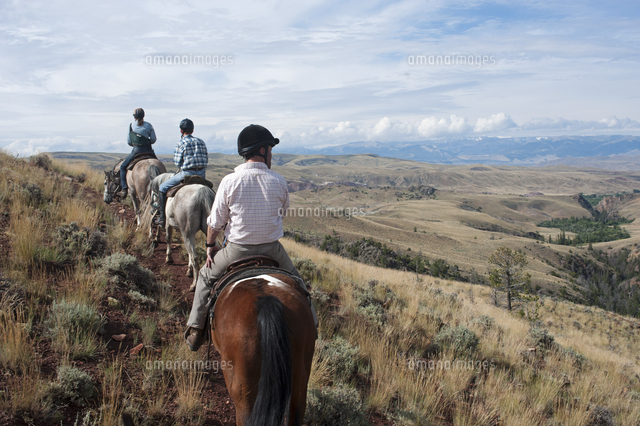 Riders on a trail at Bitterroot Ranch, Dubois, Wyoming, USA[20088094838 ...